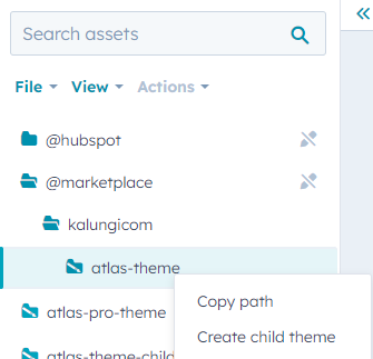 Creating a Child Theme